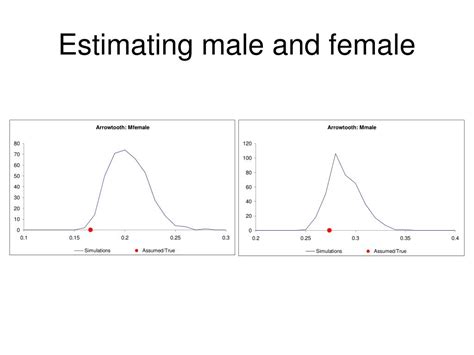 Ppt Simulation Analysis Using Stock Synthesis Powerpoint Presentation Id 5593278