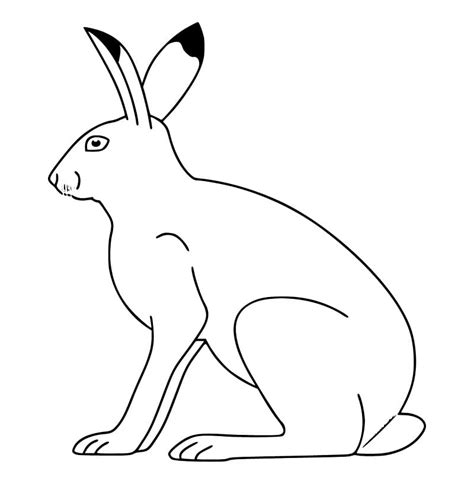 Desenhos De Lebre Simples Para Colorir E Imprimir Colorir Info