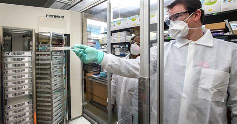 Penetration Testing Scope Essential Guide And Tips