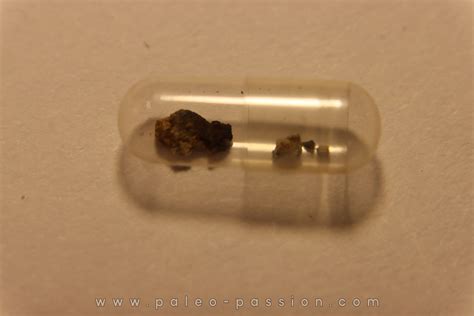 Meteorite Chondrite Hyattsville Chondrite L6 Origine Wyoming Usa