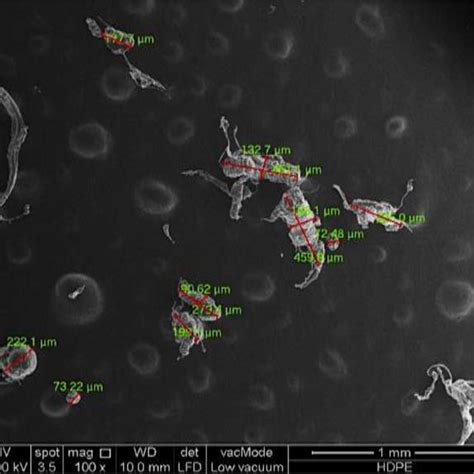 A Representative Image Of The Polyethylene Microplastics Viewed Under Download Scientific