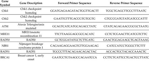 Rat Primer Sequences For Rt Qpcr Download Scientific Diagram