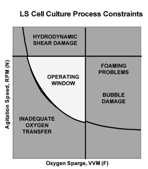 How To Draw A Operating Window To Demonstrate The Bioreactor Performance ResearchGate