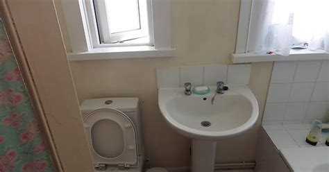 the cat that watches me pee album on imgur