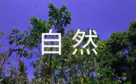 关于大自然的名人名言150句