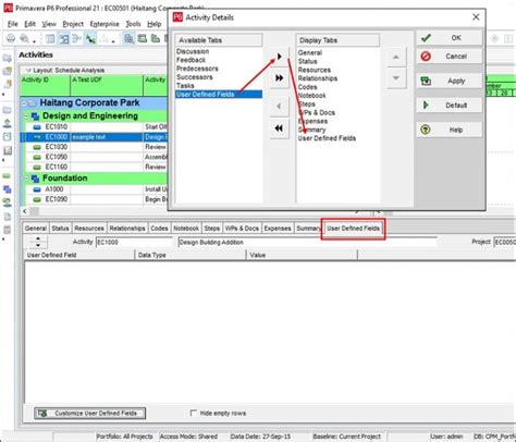 How To Add The User Defined Fields Tabs In Primavera P6 Professional