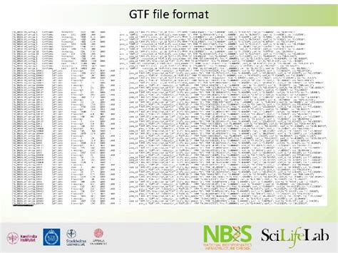 Introduction To Genome Annotation Practical Information Some Possibilities