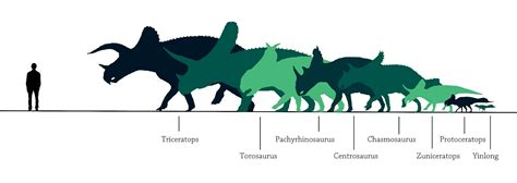Titanoceratops Size