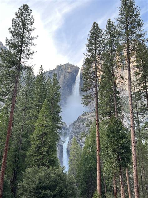 줌줌 후기 La출발 요세미티1박2일 럭셔리 별장과캠핑 바베큐 캠프파이어 불멍 별멍 때리기 이미