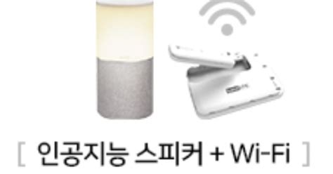 금천구 고독사 예방과 24시간 돌봄체계 구축 위한 Ai 스피커 사업 시범운영
