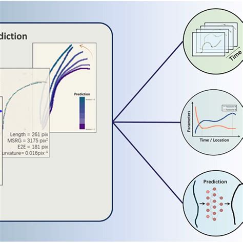 The Ai‐fmt Operation Framework Download Scientific Diagram