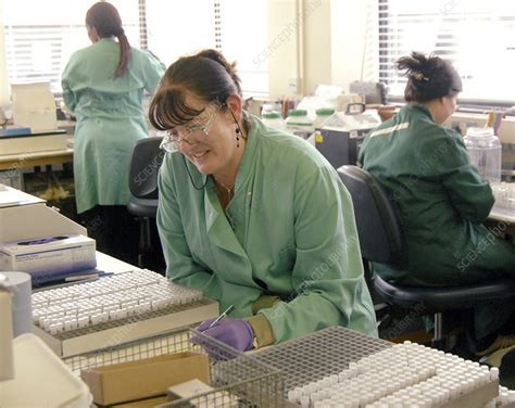 Biomedical Analysis Stock Image C0254388 Science Photo Library