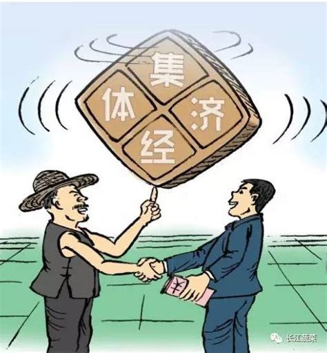 农村集体产权制度改革不能让集体资产流失不能让农民吃亏 长江蔬菜