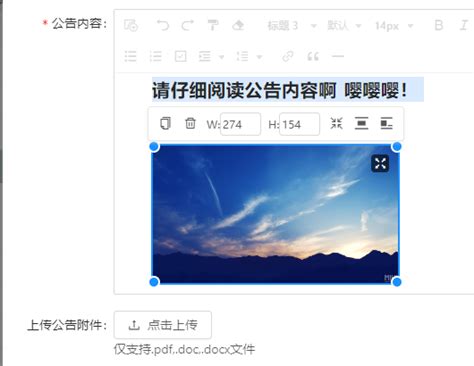 编辑时插入图片并设置大小，new view render 的时候图片还是源大小，是我遗漏了啥配置吗？ · issue 298