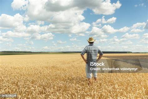 셔츠와 모자를 쓴 젊은 농부가 푸른 하늘을 배경으로 끝없이 펼쳐진 황금 밀 밭 한가운데에 서 있다 공간 복사 20 24세에 대한 스톡 사진 및 기타 이미지 Istock