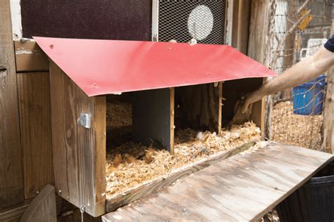 Building A DIY Chicken Nesting Boxes 21 Plans And Ideas The Poultry Guide