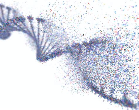 What We Know About Myeloma Translocation 1114 Healthtree For