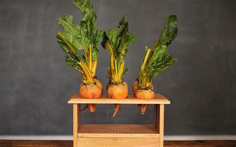 Raspberry Pi Weird Innovations