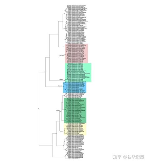 基于短核苷酸序列频率构建细菌系统发育树 知乎