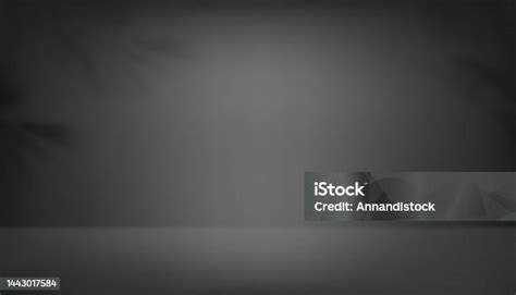 시멘트 벽 배경 디스플레이 어두운 콘크리트 벽에 그림자 잎이 있는 3d 스튜디오 룸 벡터 최소 배너 디자인 배경 제품 프레젠테이션을 위한 검은색 콘크리트의 빈 갤러리 룸 0