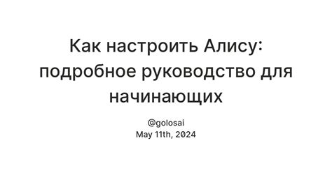 Как настроить Алису: подробное руководство для начинающих — Teletype