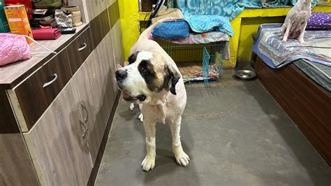 বৃষ্টি আর গরম গরম পিঁয়াজি Youtube