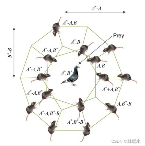 Matlab算法实战应用案例精讲 【智能优化算法】鼠群优化器 Rso （附matlab源码）智能优化算法优化器 Csdn博客