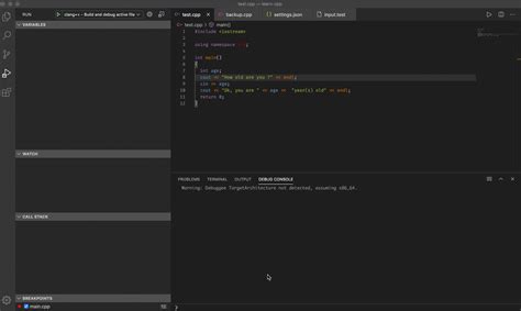 How To Read User Input Std Iostream When Debugging A C Program · Issue 5491 · Microsoft