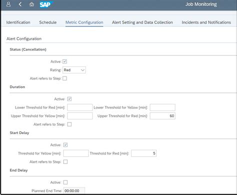 Job Monitoring With Sap Solution Manager Layer Seven Security