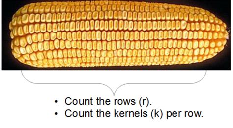 Corn Yield Estimation Calc