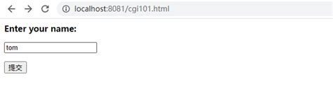 Python编程 第四版 Example 1 30 PP4E Preview cgi101 html Example 1 31 PP4E