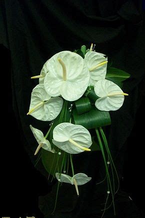 White Anthurium Bridal Bouquet For Wedding Ceremony