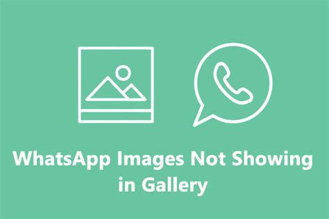 whatsapp profile picture not showing reasons and solutions