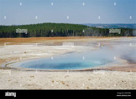 The White Silica Rich Sinter On The Ground By The Hydrothermal Waters