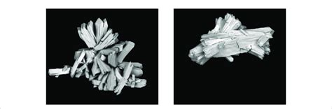 Examples Of Particle Textures Resulting From Two Different Runs With