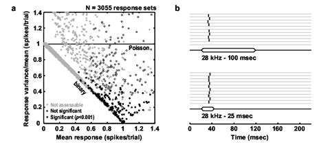 Half Of The Neuronal Population Exhibited Binary Firing Behavior A Of Download Scientific