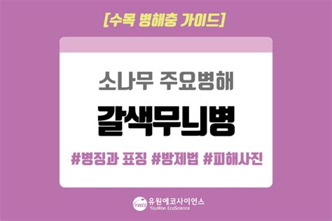 수목 병해충 가이드 소나무 주요병해갈색무늬병병징 방제법 피해사진 네이버 블로그