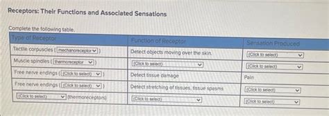 Solved Receptors Their Functions And Associated Sensations