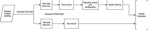 methodology used in detection model training download scientific diagram