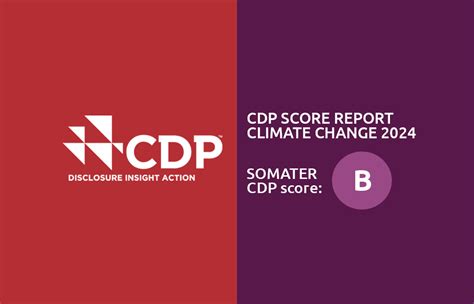 Cdp 2023 Somater Achieves A B Score Somater