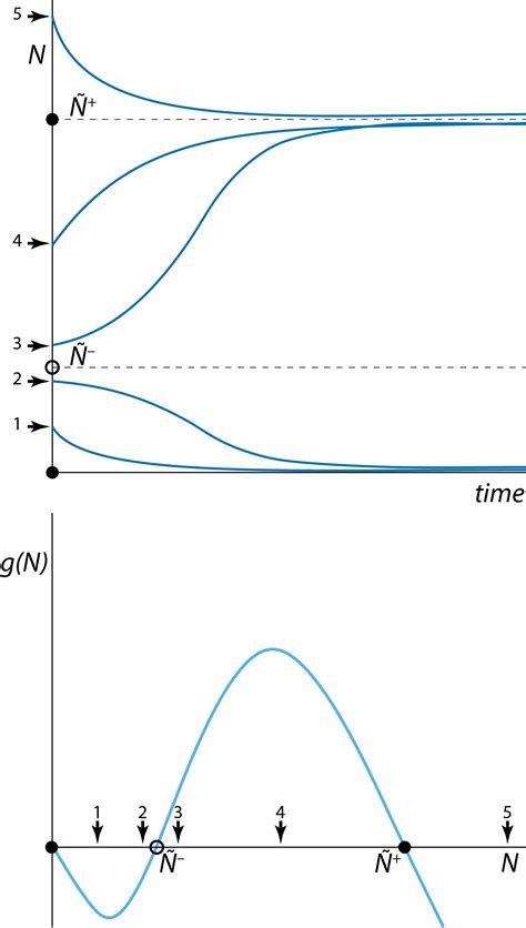 Chapter 2 Saddle Node Bifurcation In A Two Sexes Population Growth Model Bifurcations In