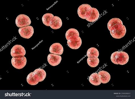 Bacterial Conjugation Microscope