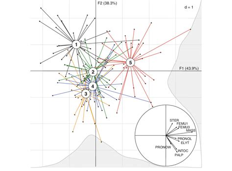 Factorial Discriminant Analysis Projection Of Variables Correlation