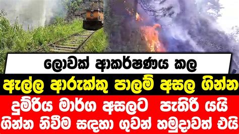 ඇල්ල ආරුක්කු පාලම් අසල ගින්න දුම්රිය මාර්ග අසලට ද පැතිරී යයි ගින්න නිවීම සඳහා ගුවන් හමුදාවත්