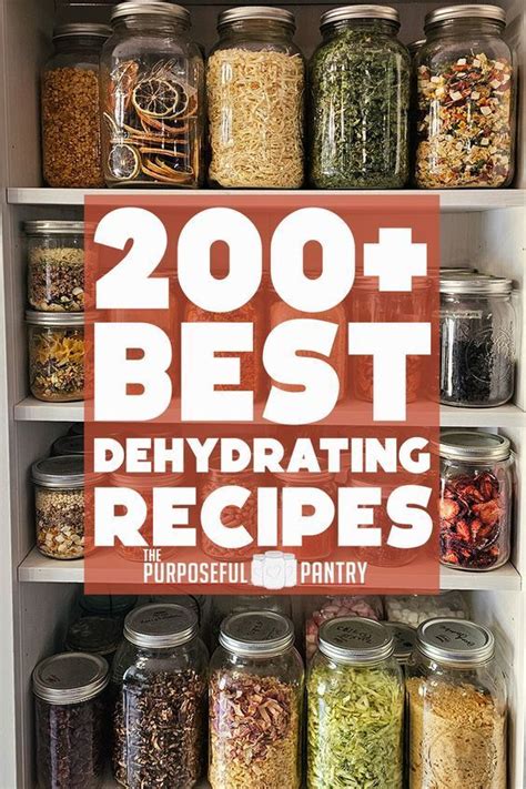 200 Best Dehydrating Recipes For Fruits Vegetables Meats And More