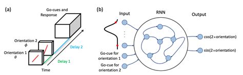 Stay Updated With Neuroscience November 2021 Must Reads By Stefano Bosisio Towards Data Science