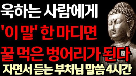 현명한 사람들이 욱하고 화 잘내는 사람을 상대하는 방법 I 이 한마디면 입도 뻥긋 못한다 I 더는 져주지 마라 I 자면서 듣는 부처님 말씀 4시간 L 지혜 I 오디오북