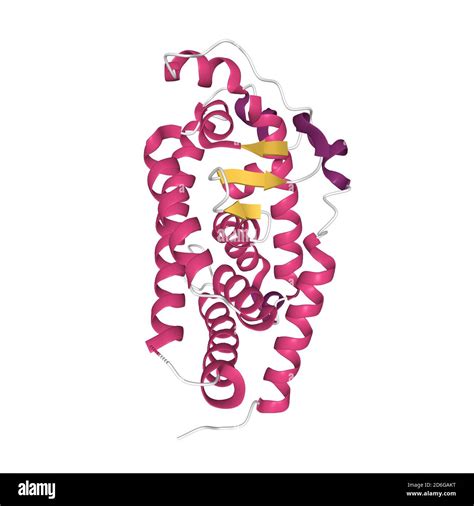 Tertiary Structure Of Human Vitamin D Receptor With The Differently Colored Secondary Structure