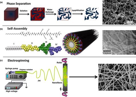 Schematic Of Current Techniques Ie Phase Separation Self Assembly