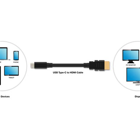 Computer Monitor Connector Types